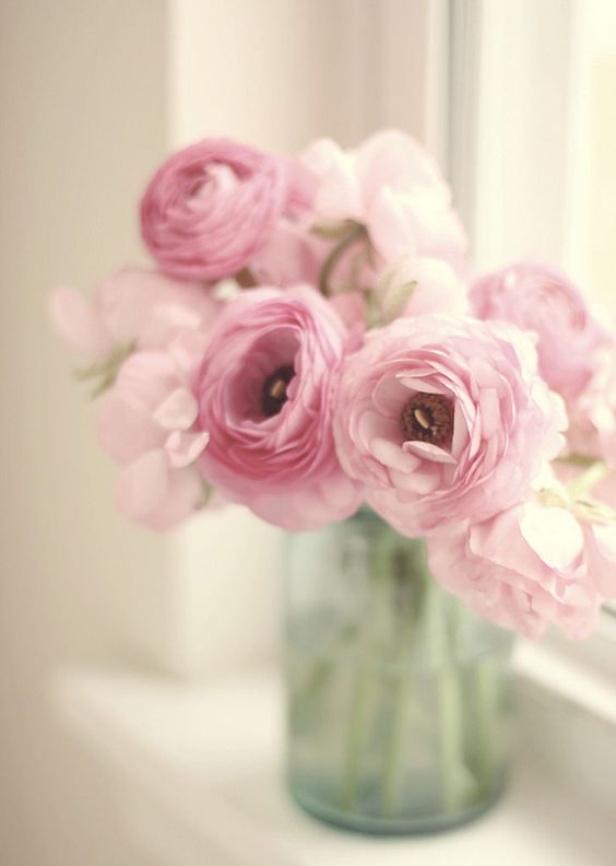 The most beautiful Zalo wallpaper