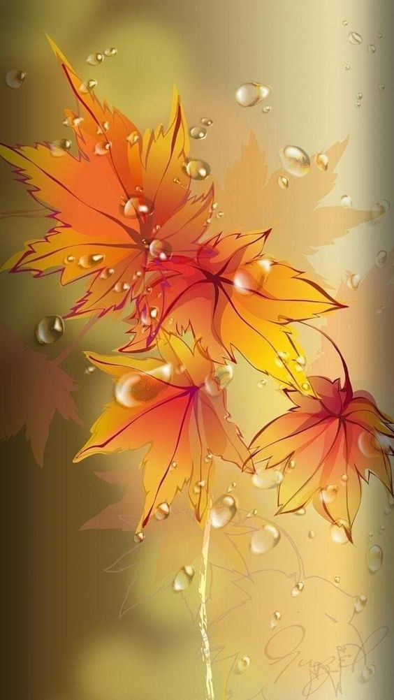 The most beautiful Zalo wallpaper