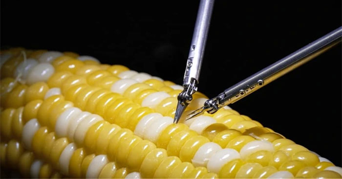 Sony's robot operates on corn, demonstrating precise